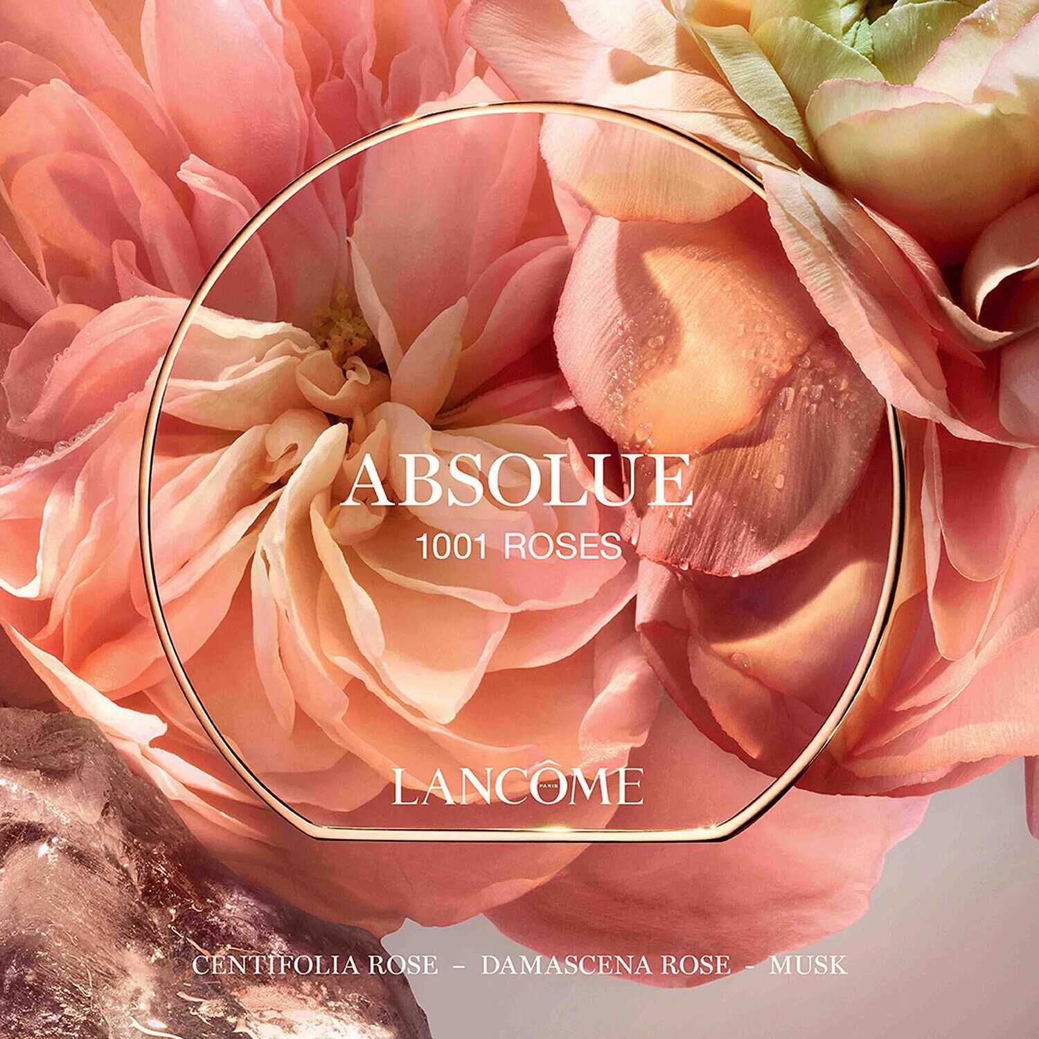 Absolue Les Parfum Not Your Rose LANCÔME ≡ SEPHORA