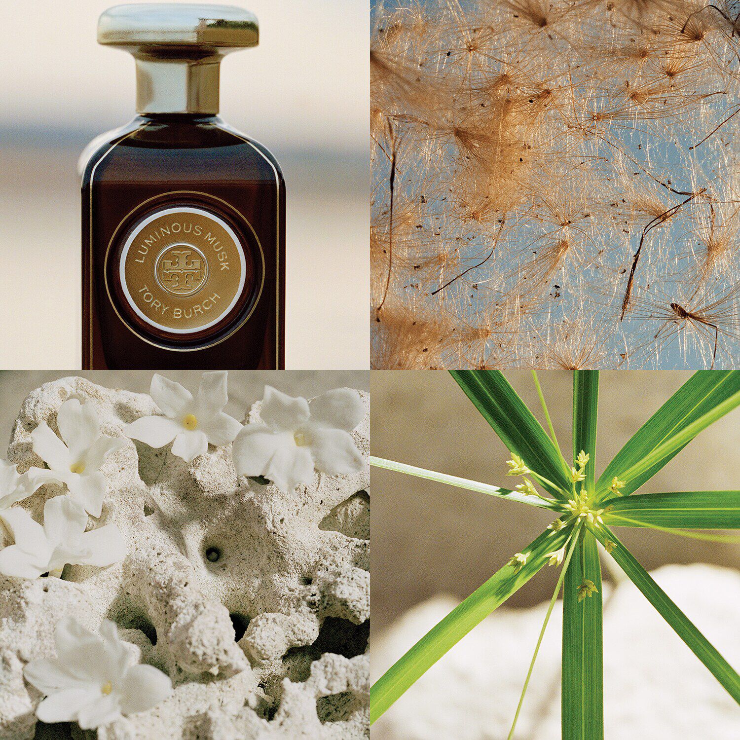 Luminous Musk Eau de Parfum TORY BURCH ≡ SEPHORA